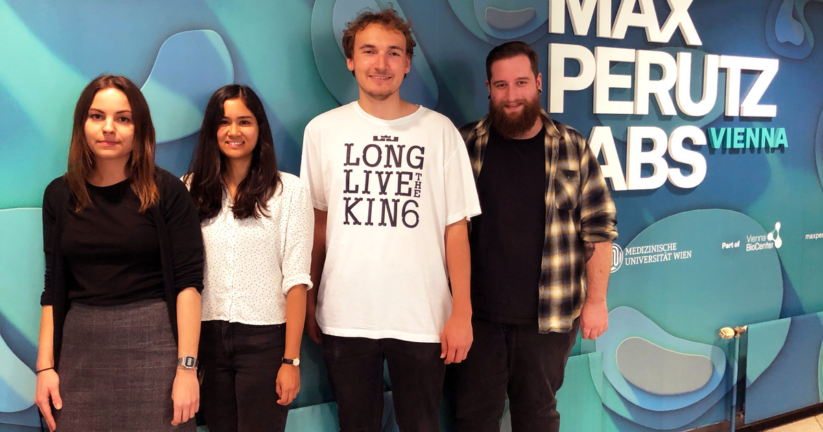 Four PhD fellowships for Max Perutz Labs students - Max Perutz Labs