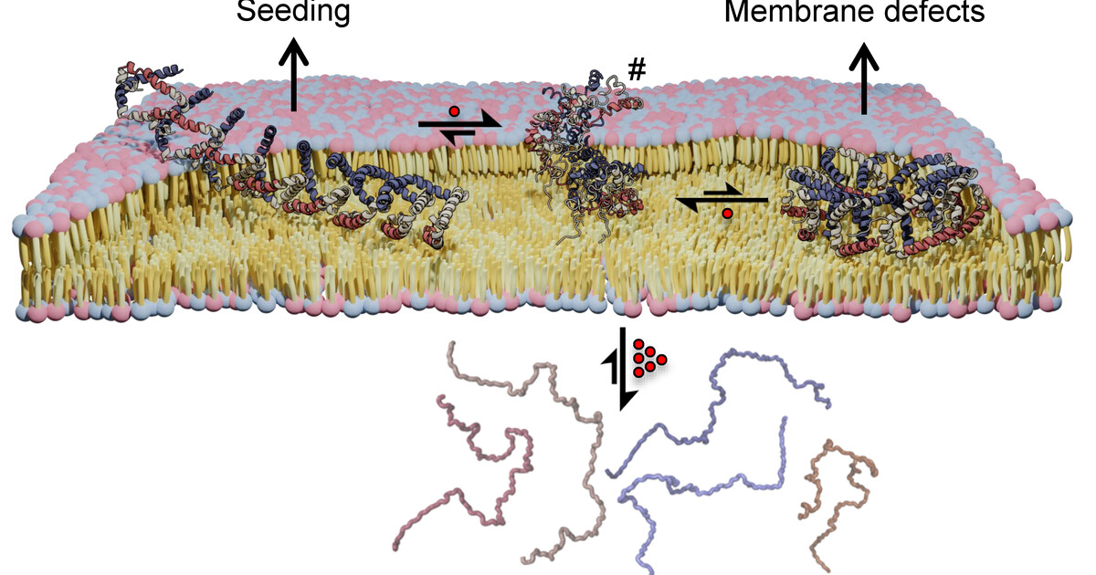 Elucidating the mechanism behind the medicine - Max Perutz Labs